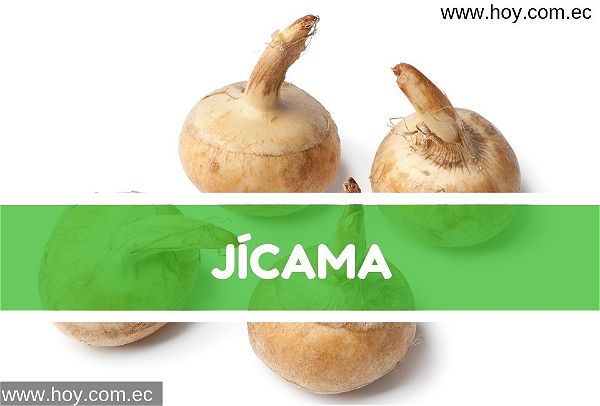 Jícama